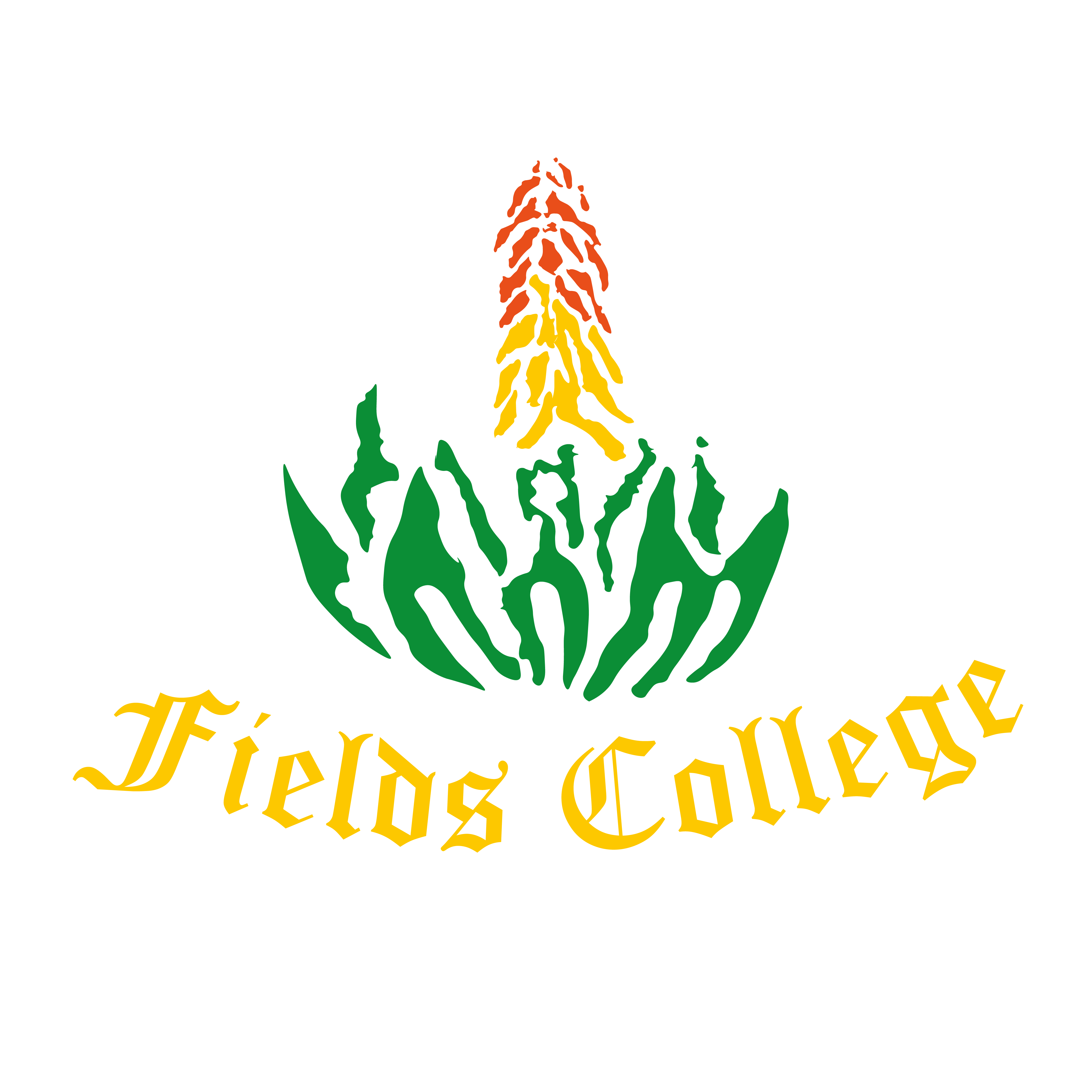 Fields College – Bezmans